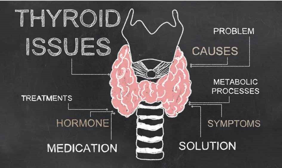 19 Key Signs of Thyroid Problems You Should Be Aware Of