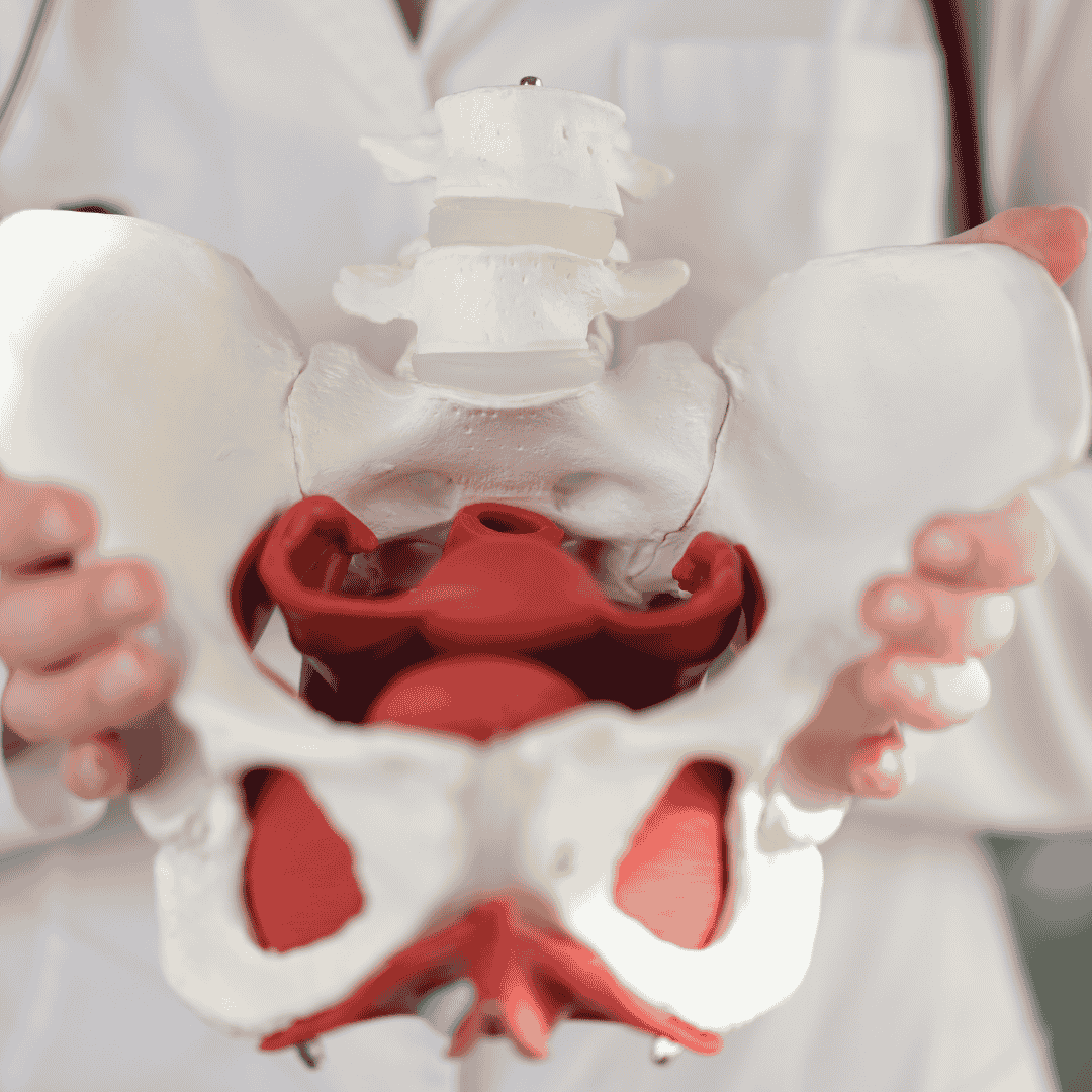 8 Powerful Pelvic Floor Disorder Causes to Avoid